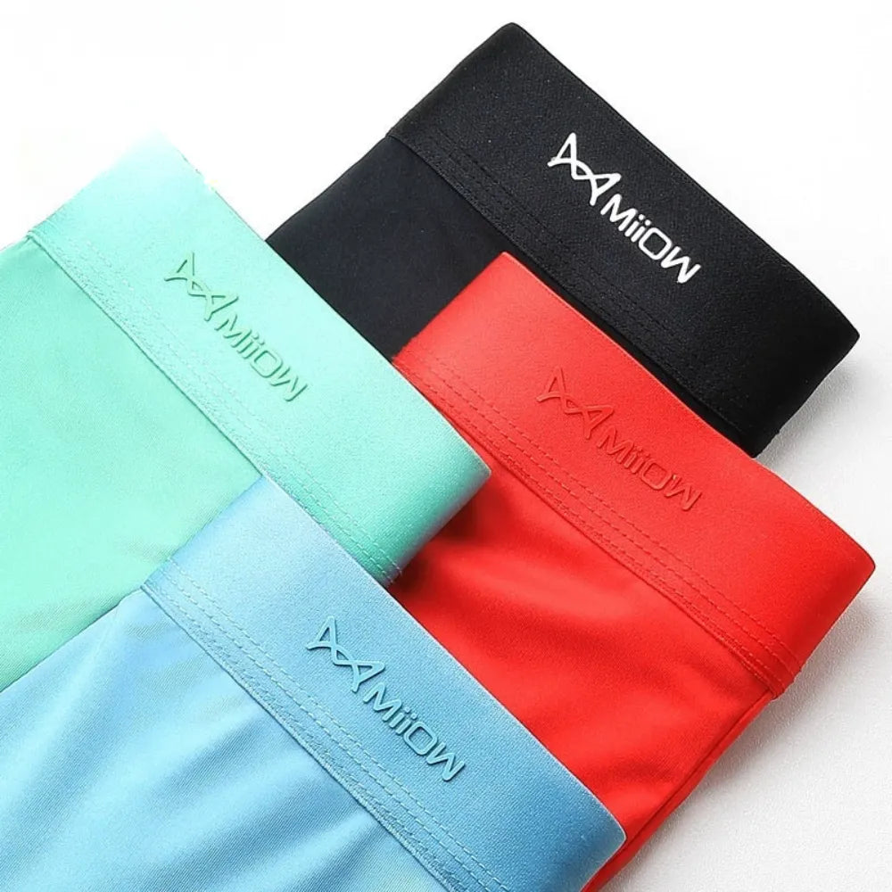 BOXERS HOMME MiiOW COLORS 2025 - BF – morinoexpress